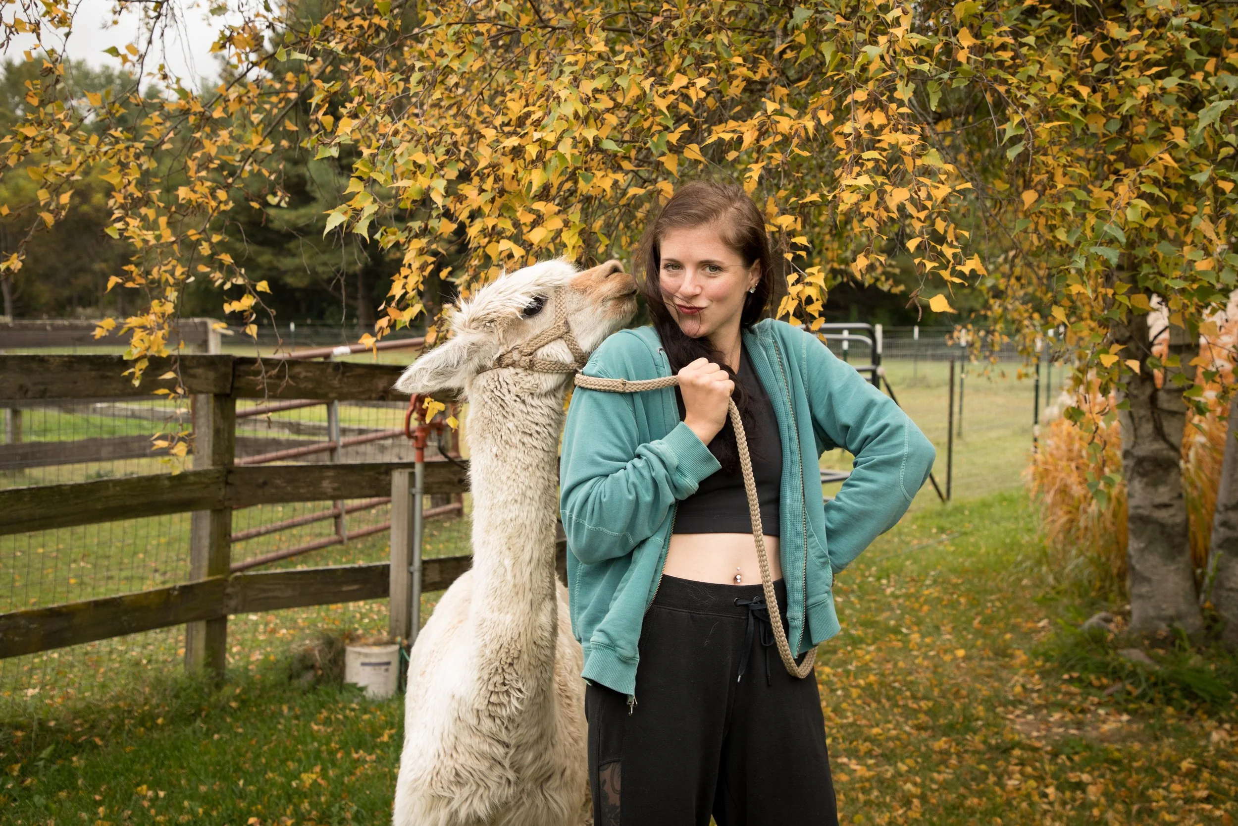 Professional Photo Shoot with Alpacas, Unique Photo Shoot, Family Photo ...