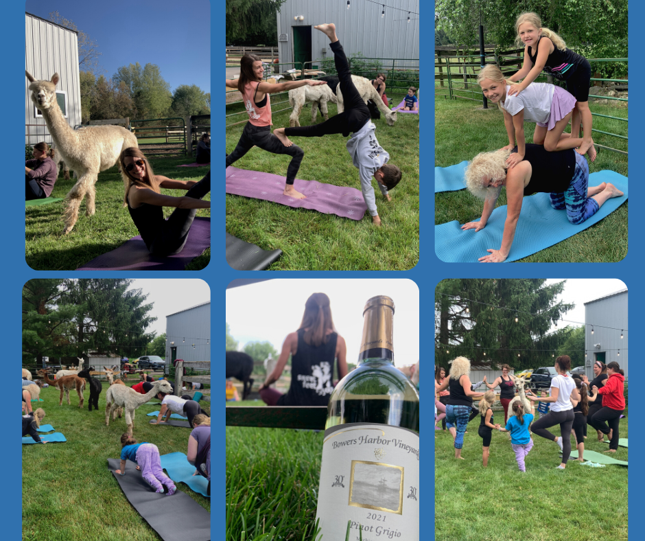 Yoga, Yoga with Alpacas, Alpaca Yoga, Goat Yoga, Unique Yoga, Chicago ...
