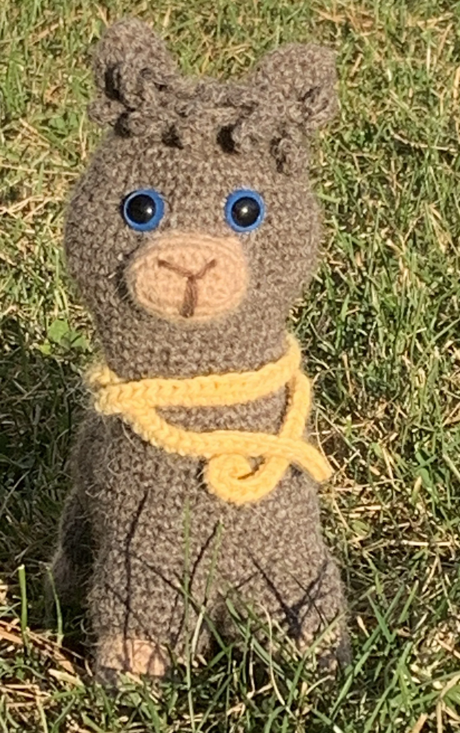 Magic Meadows Alpacas