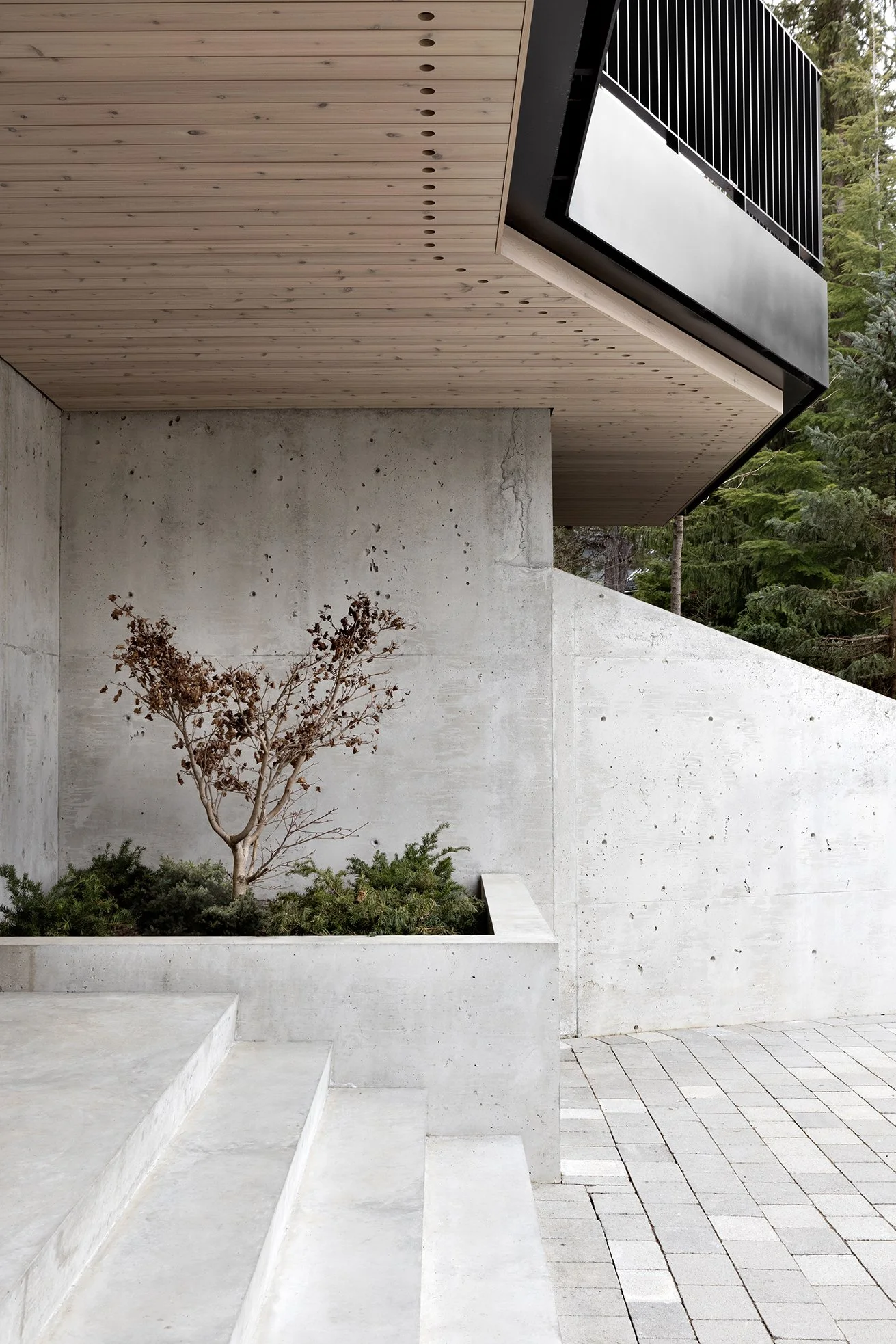 STARK | Squamish-based Architecture & Interior Design Firm