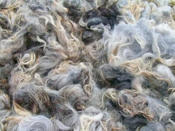 Minnesota Fiber Festival