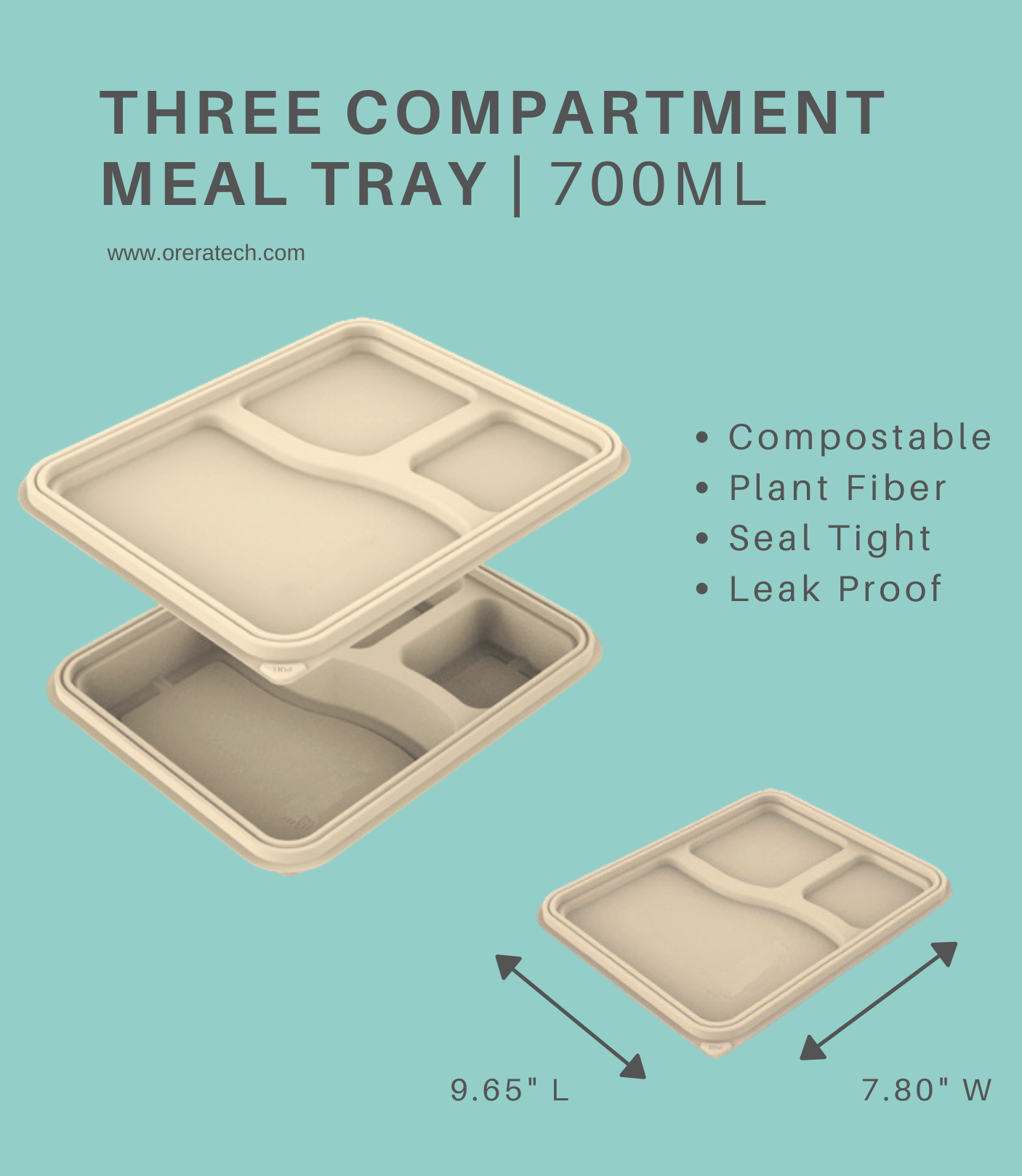 Food Drive Fundraiser: Raising Funds for Don Carlos — Meraki Society
