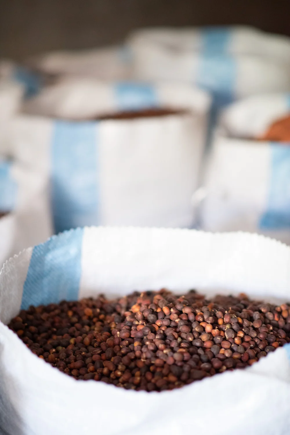 Qamaria Yemeni Coffee Co. | Experience Authentic Yemeni Coffee - Shop Now