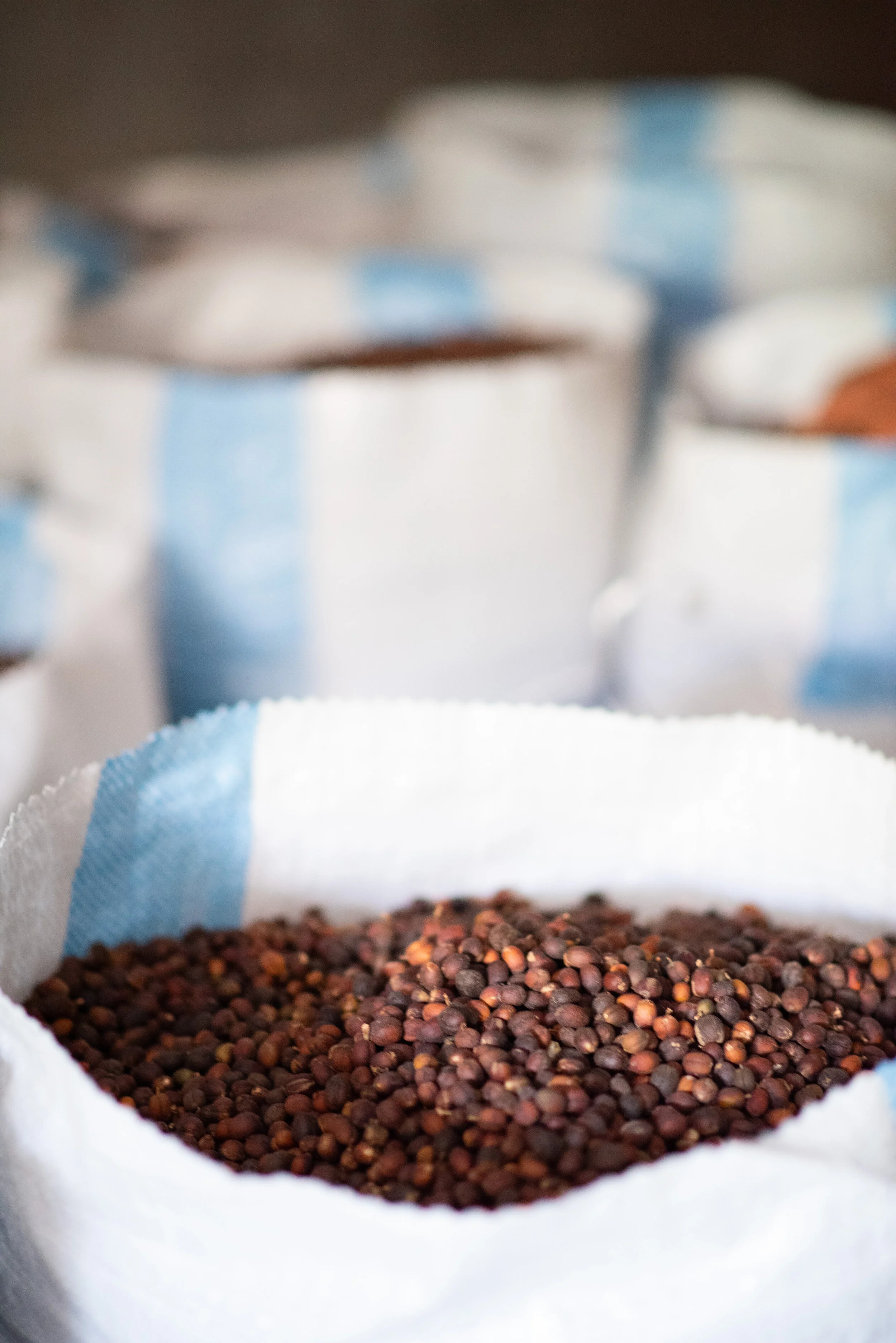 Qamaria Yemeni Coffee Co.