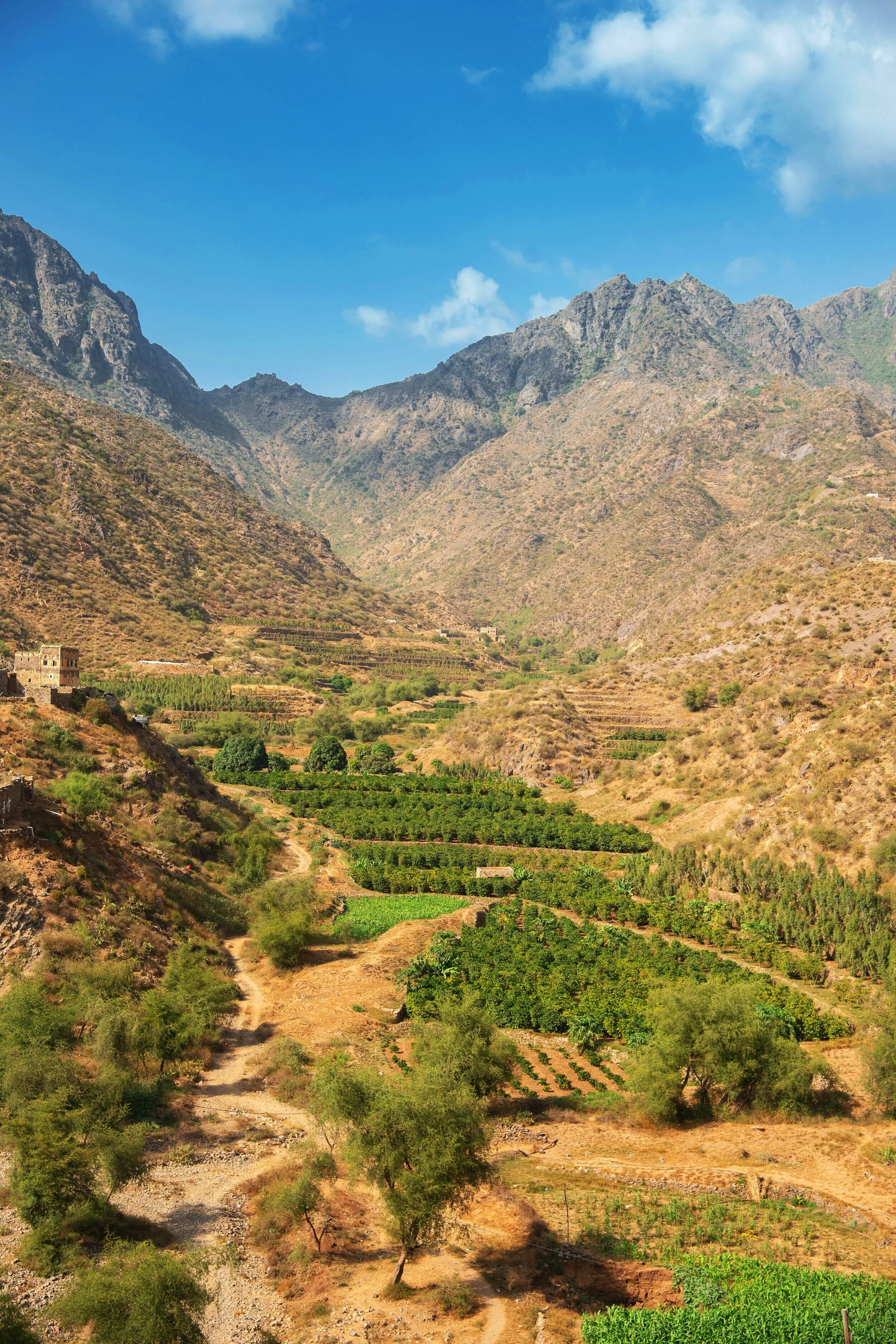 Qamaria Yemeni Coffee Co. | Experience Authentic Yemeni Coffee - Shop Now