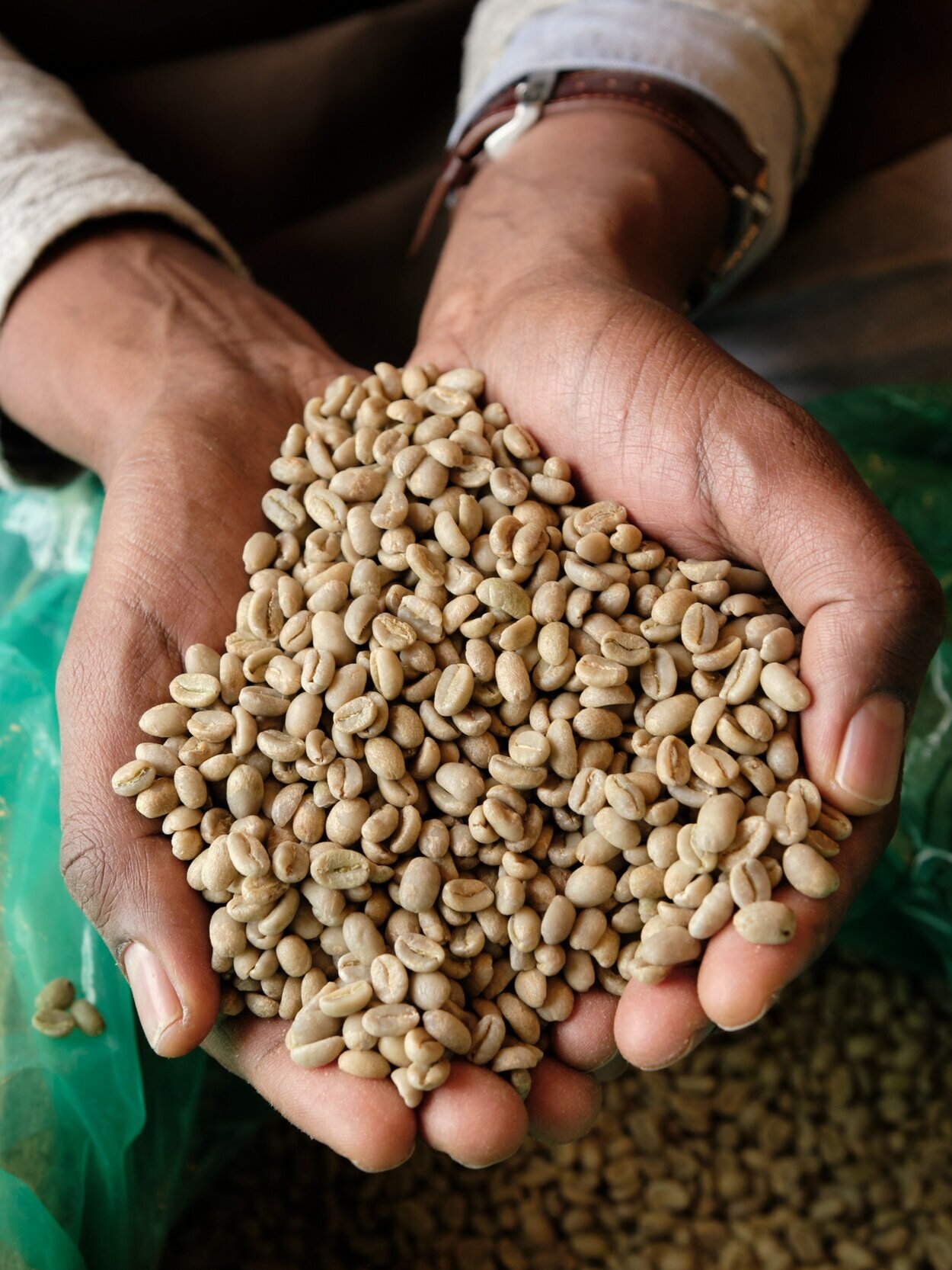 Ancient Marib | Special Blend — Qamaria Yemeni Coffee Co.