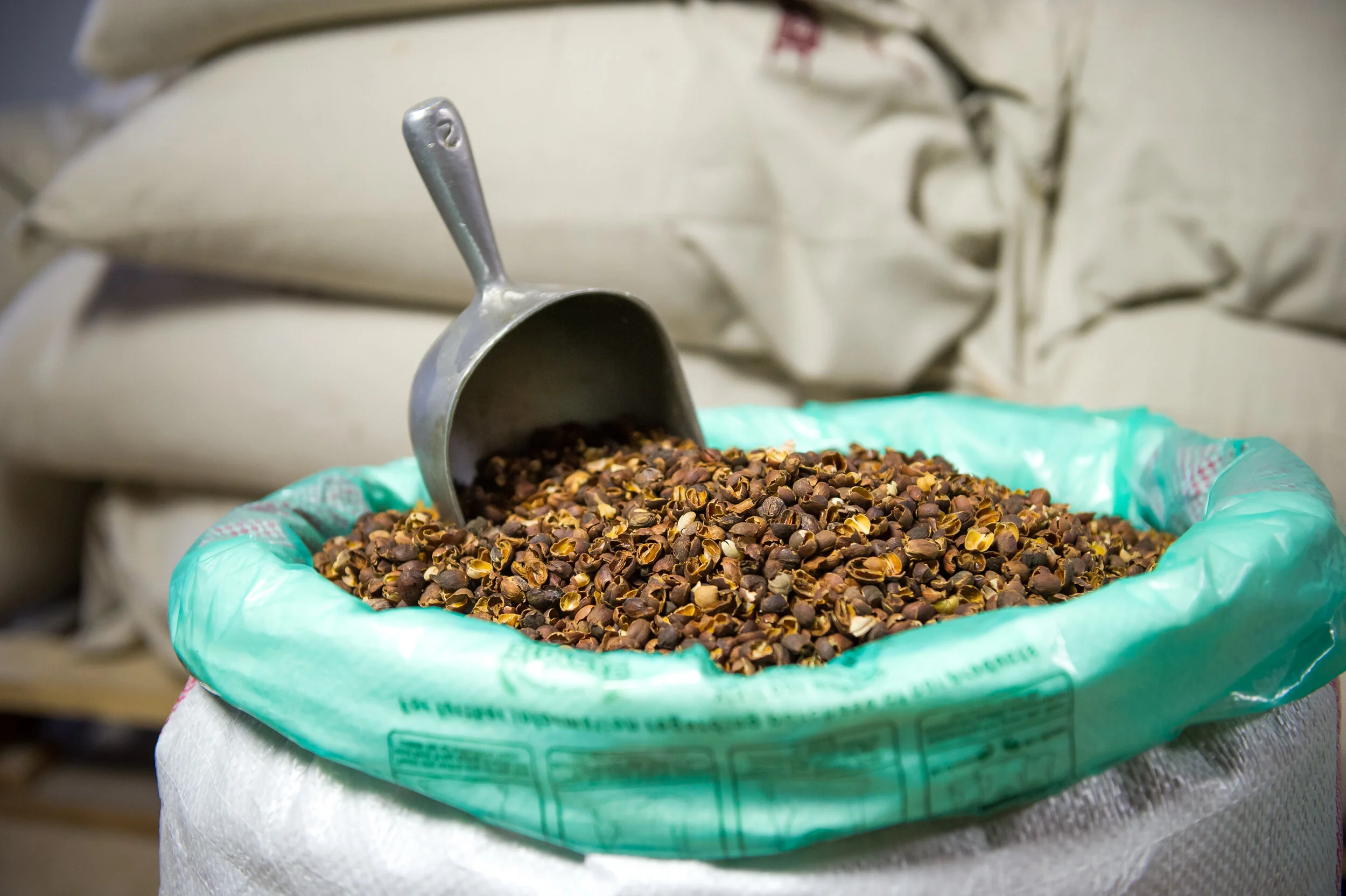 Sunrise Socotra | Light Roast — Qamaria Yemeni Coffee Co.