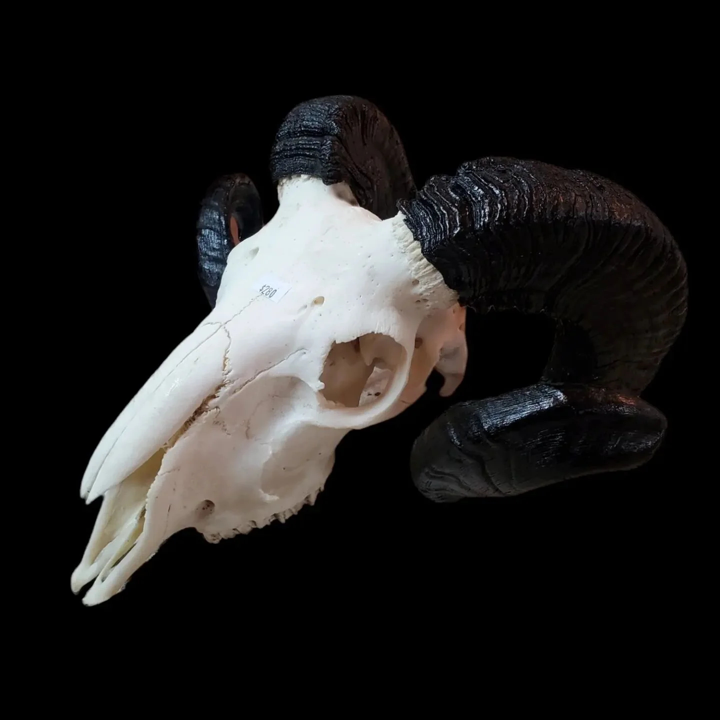 Dark & Deviant Oddities