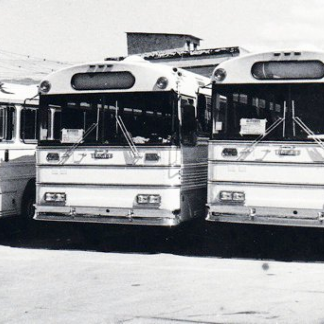 La Ruta 1 — JOSE S. AZCONA BOCOCK