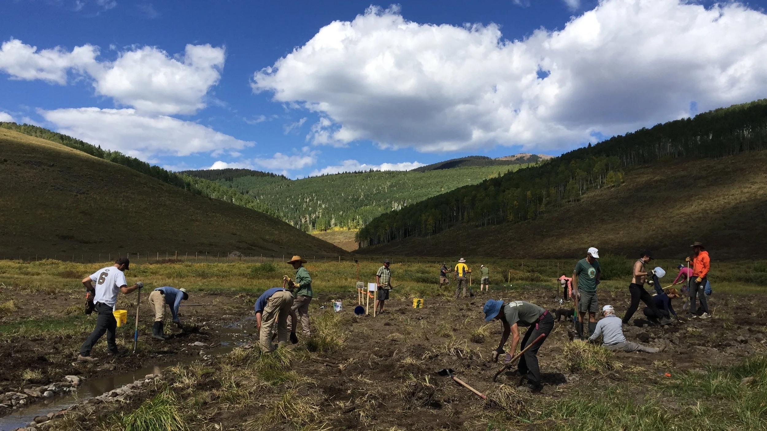 Healthy Landscapes | RFOV