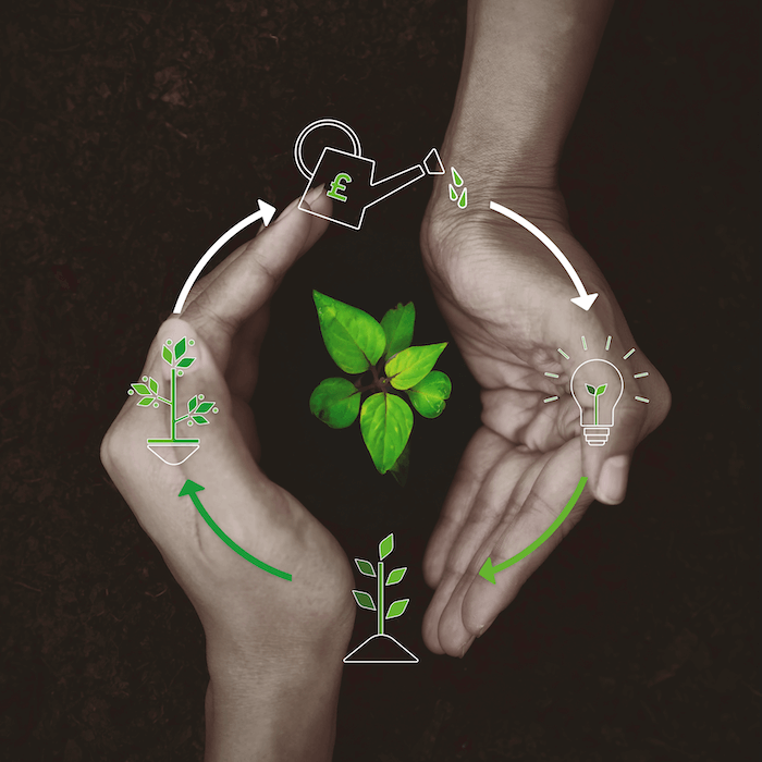 Evergreen Fund | Investing in Our Environment