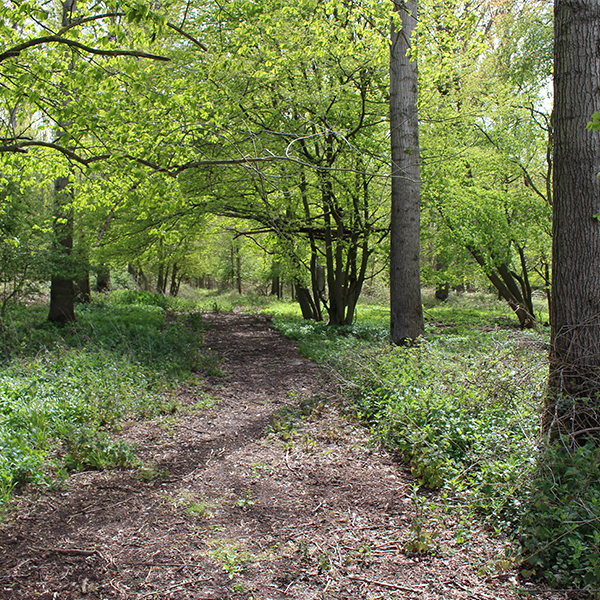 Evergreen Fund | Investing in Our Environment