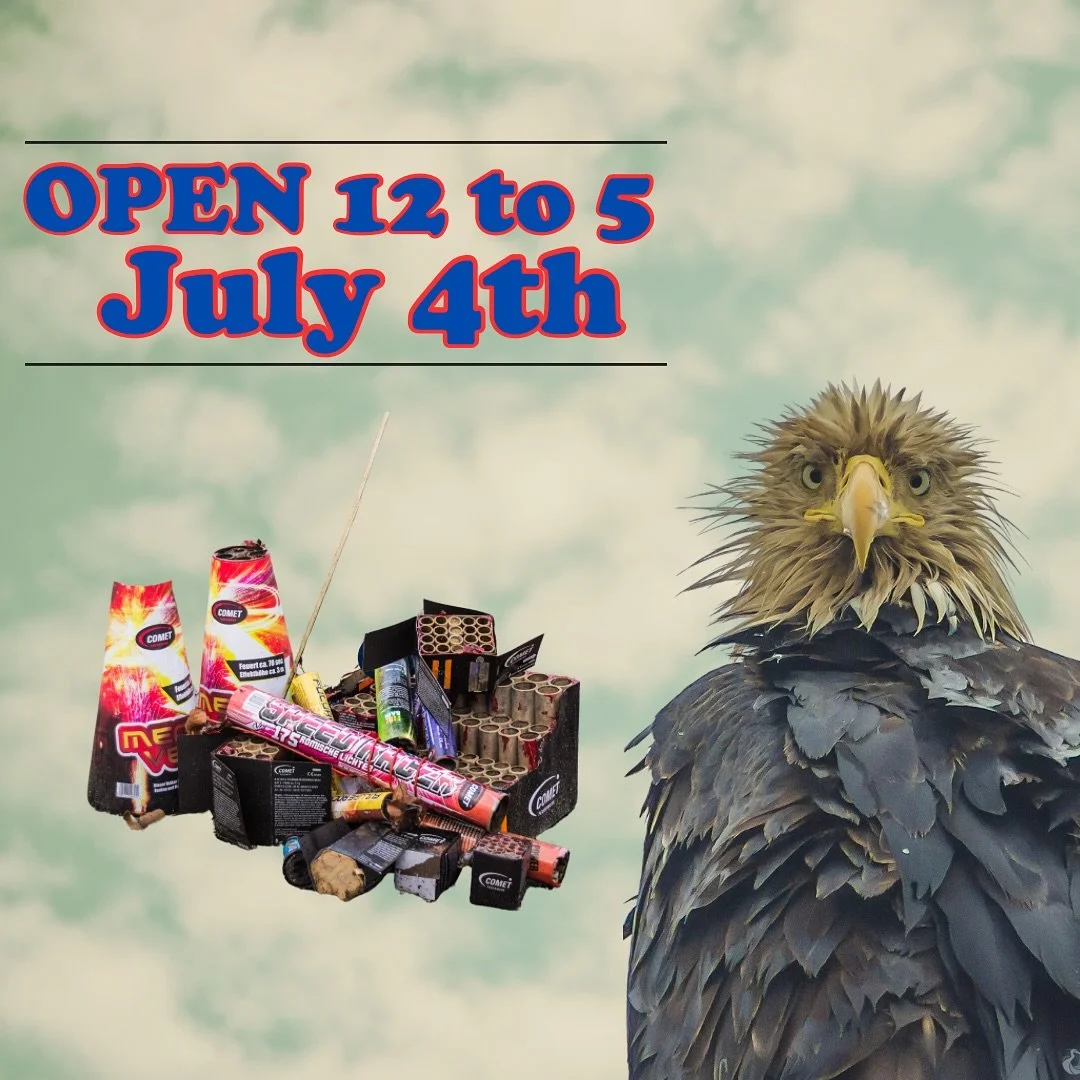 Fat Rabbit Thrift & Vintage