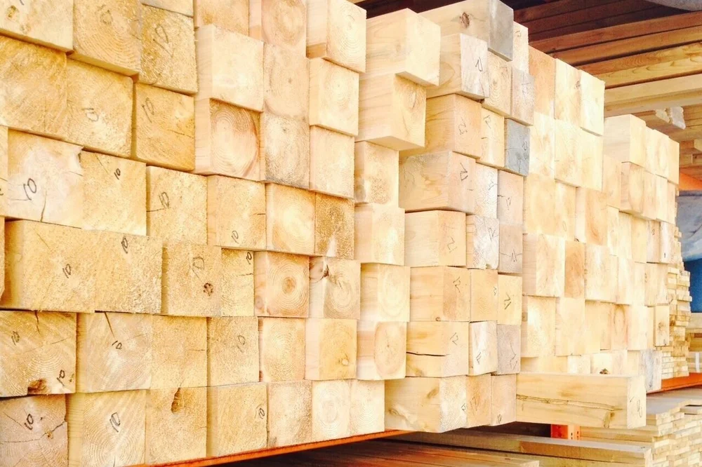 Eastern White Cedar — Lanark Cedar