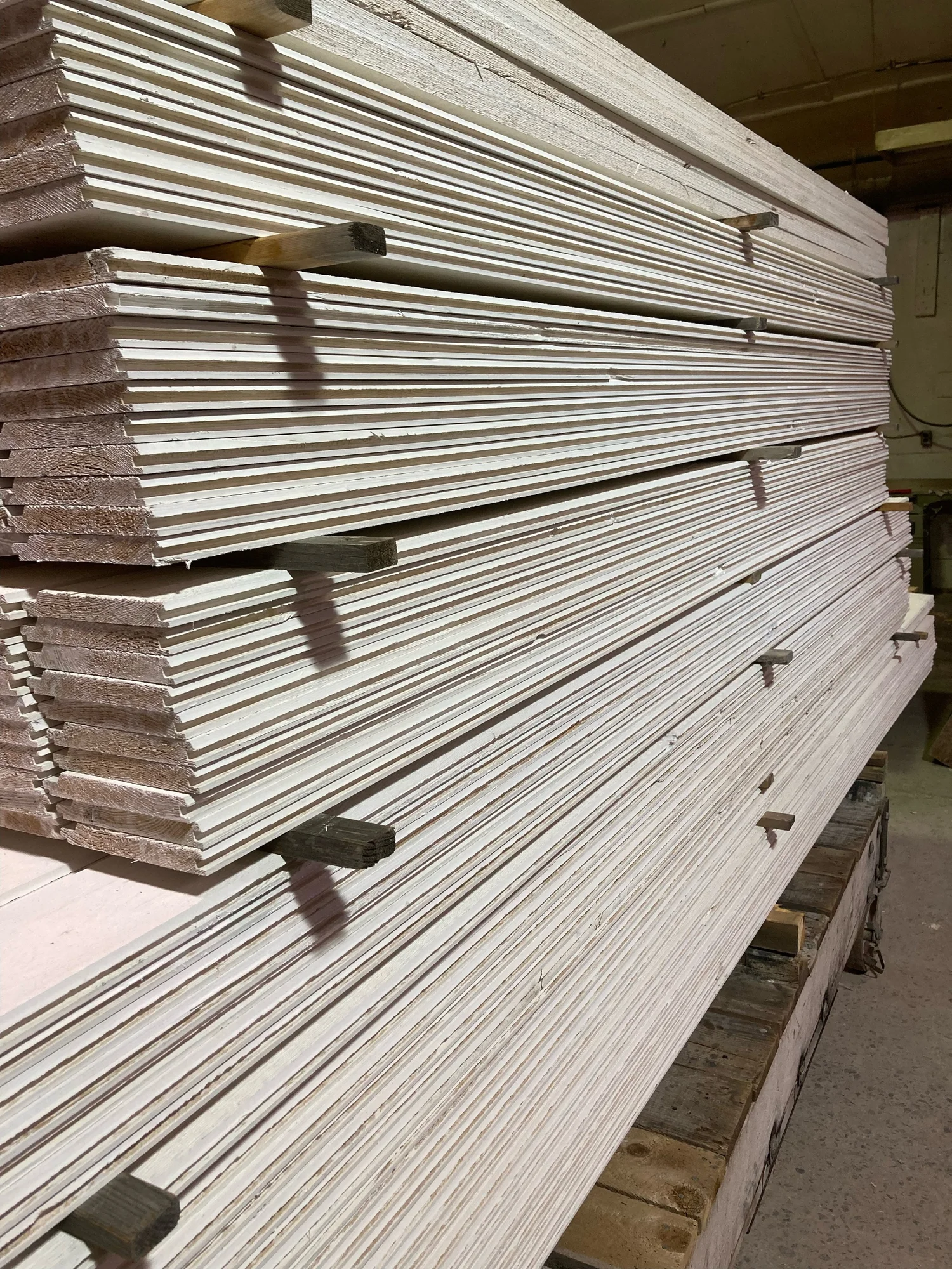 Lanark Cedar