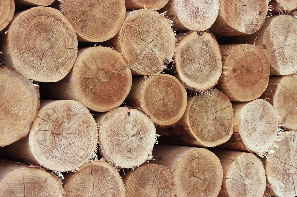 Premium Cedar Post & Rail Fencing | Boundary & Agricultural Fences ...