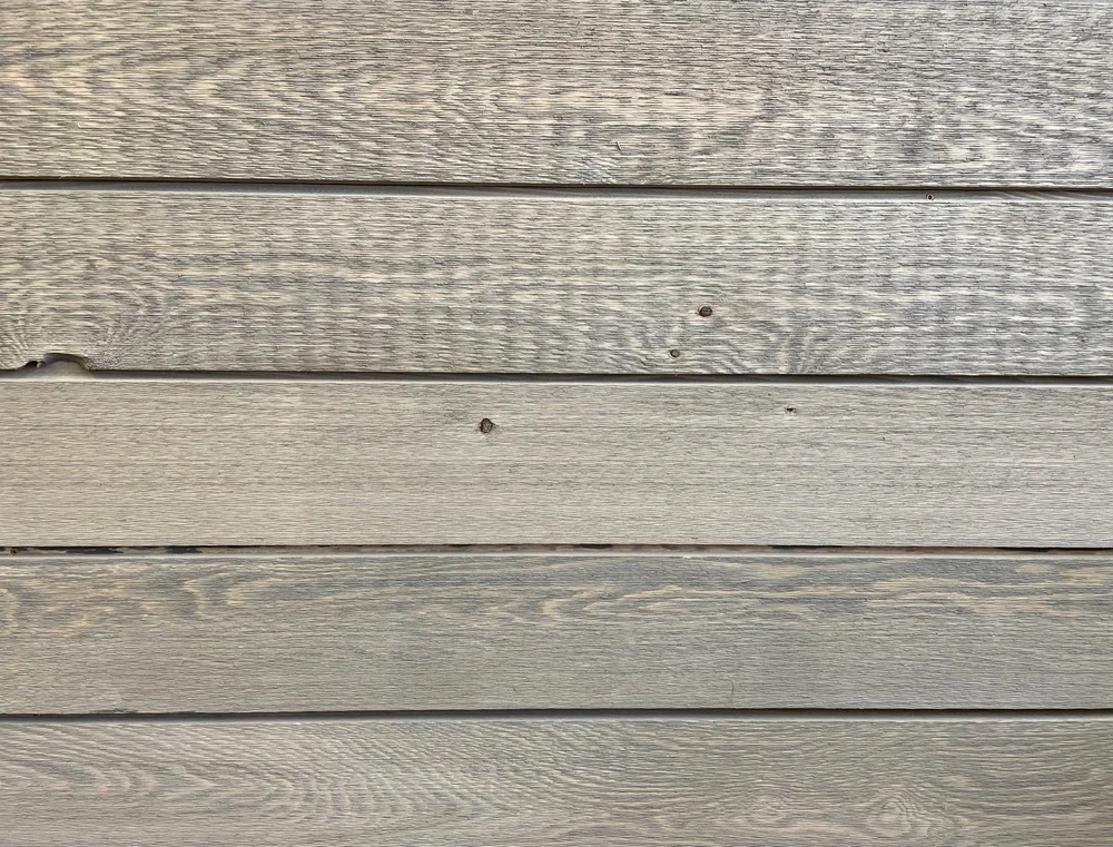 Eastern White Hemlock — Lanark Cedar