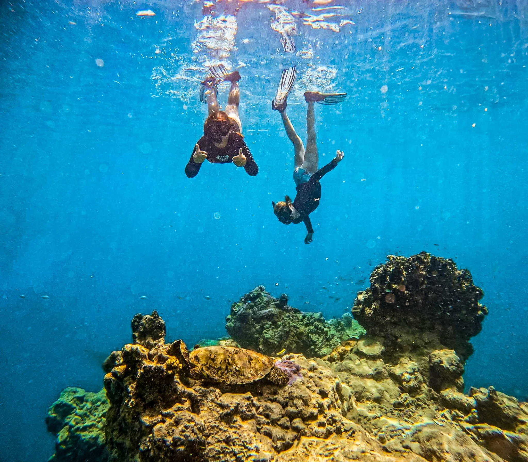 Rarotonga Turtle tour PHOTOS — Snorkel Cook Islands