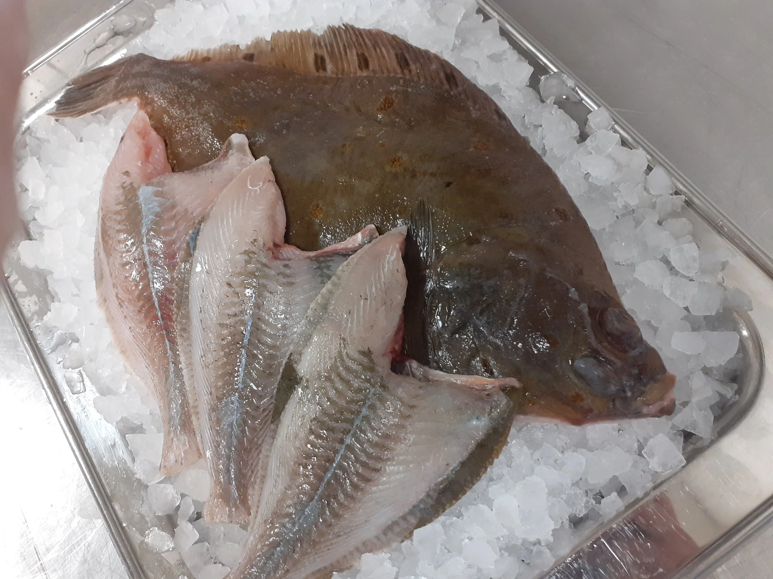 Gallery 3 — Porvoon Kalatalo