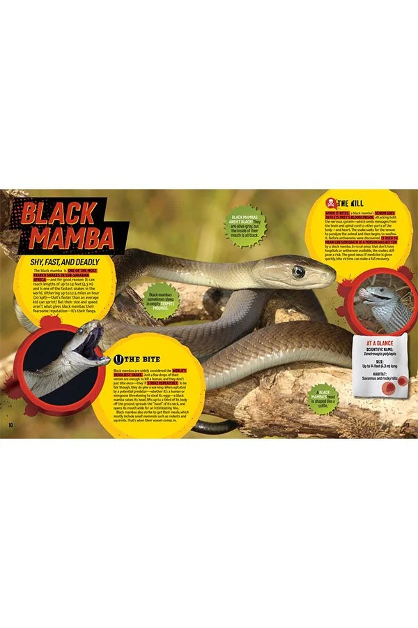 Black Mamba Fangs