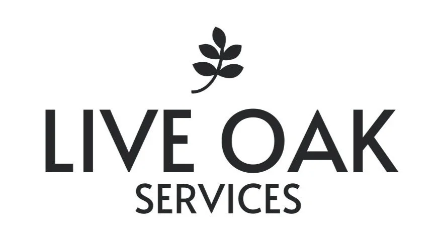 BARKmedia: Marketing for Service Based Companies in Texas