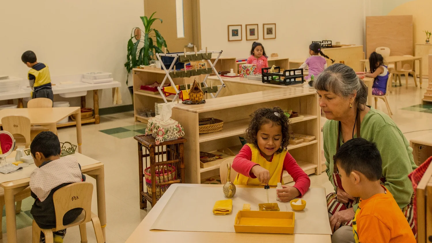 AMI Orientation Courses — Montessori Northwest