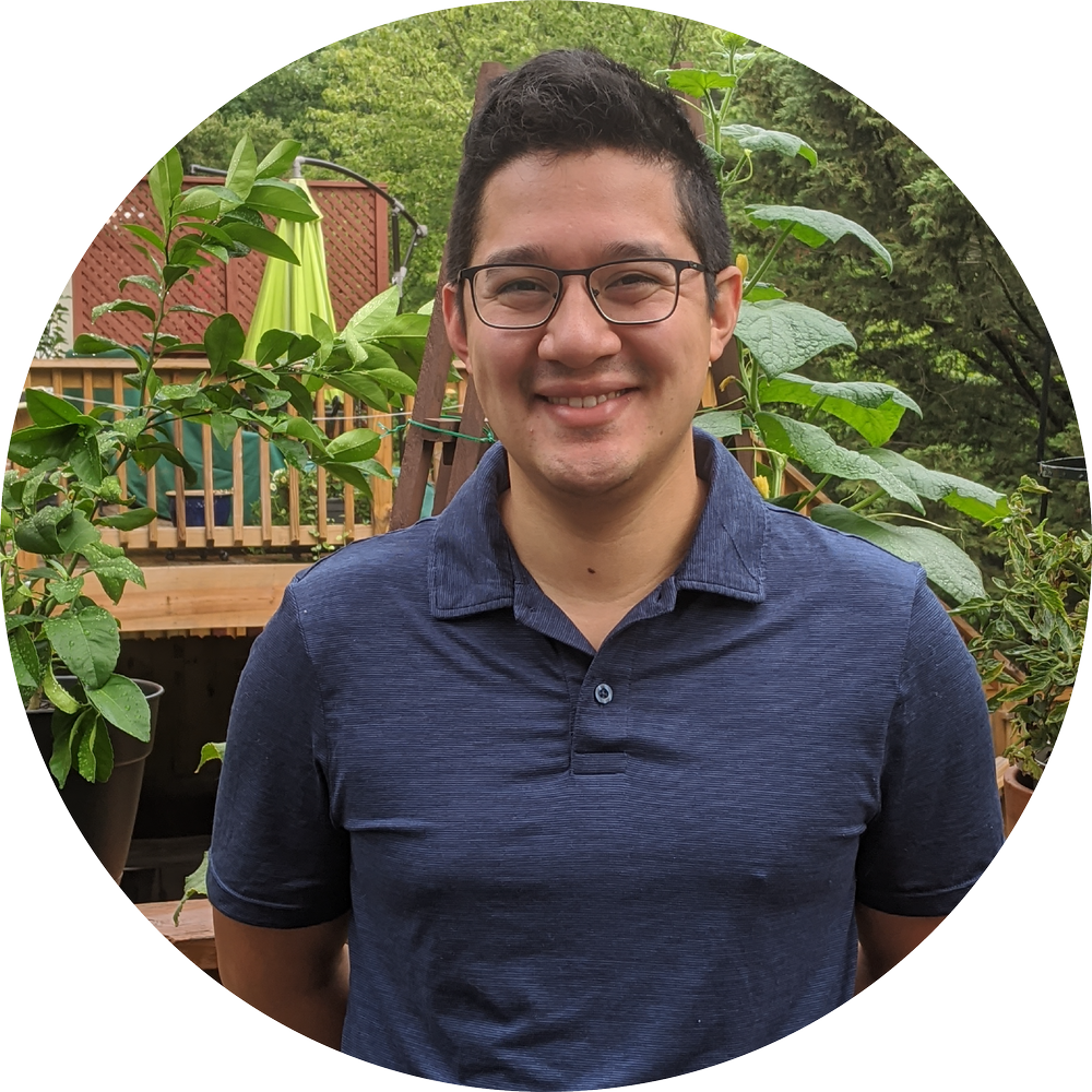 AMI Diploma Programs — Montessori Northwest