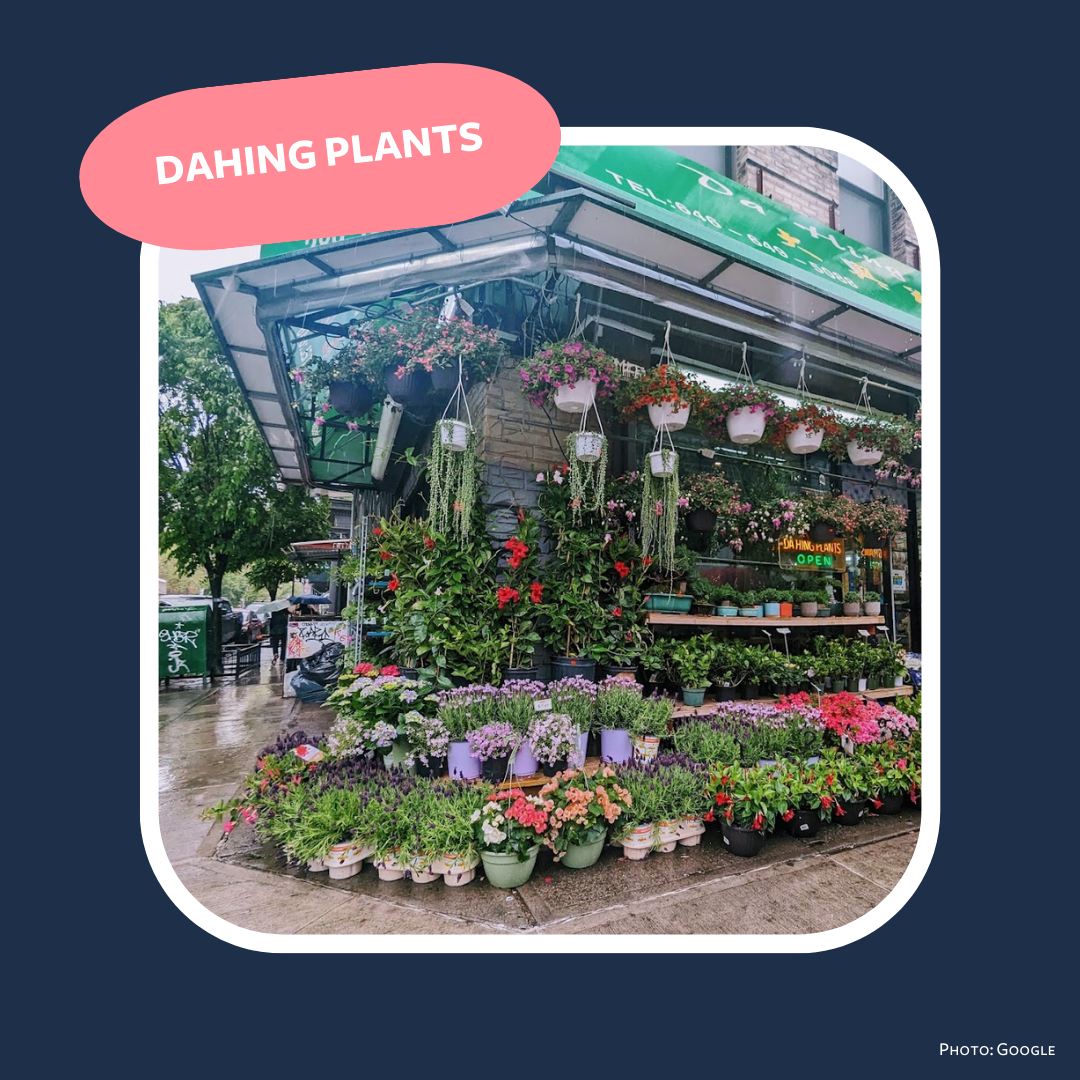 Flowers — Welcome to Chinatown