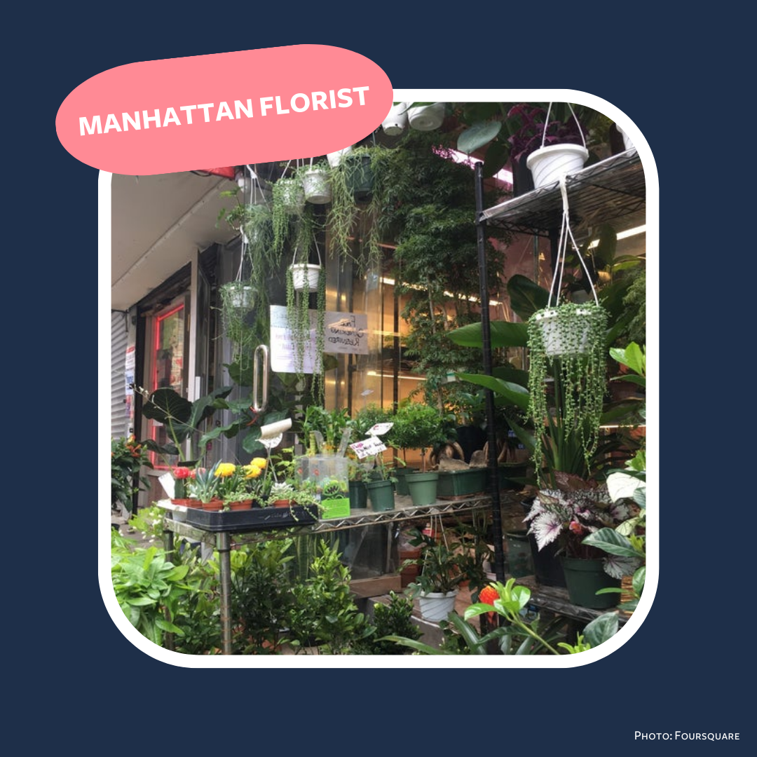 Flowers — Welcome to Chinatown