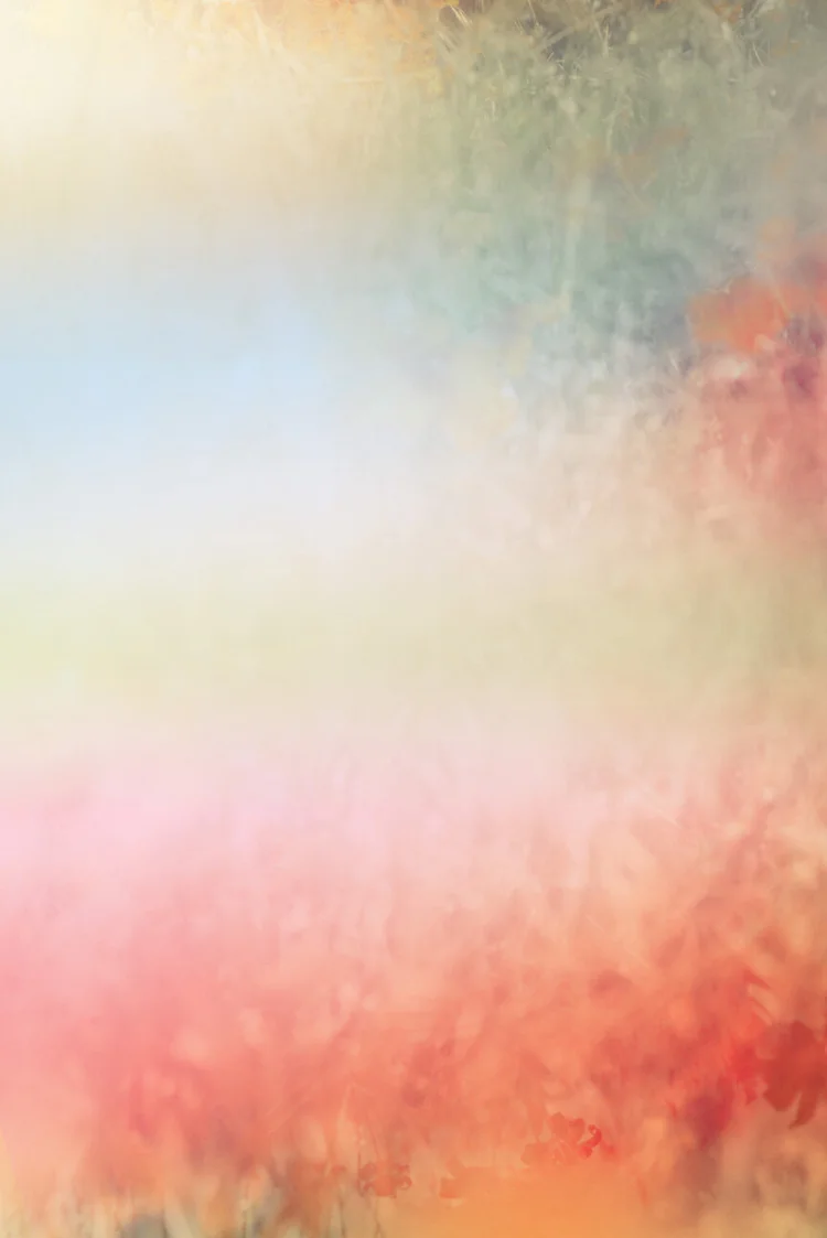 Gallery 3 — Jordan Sullivan