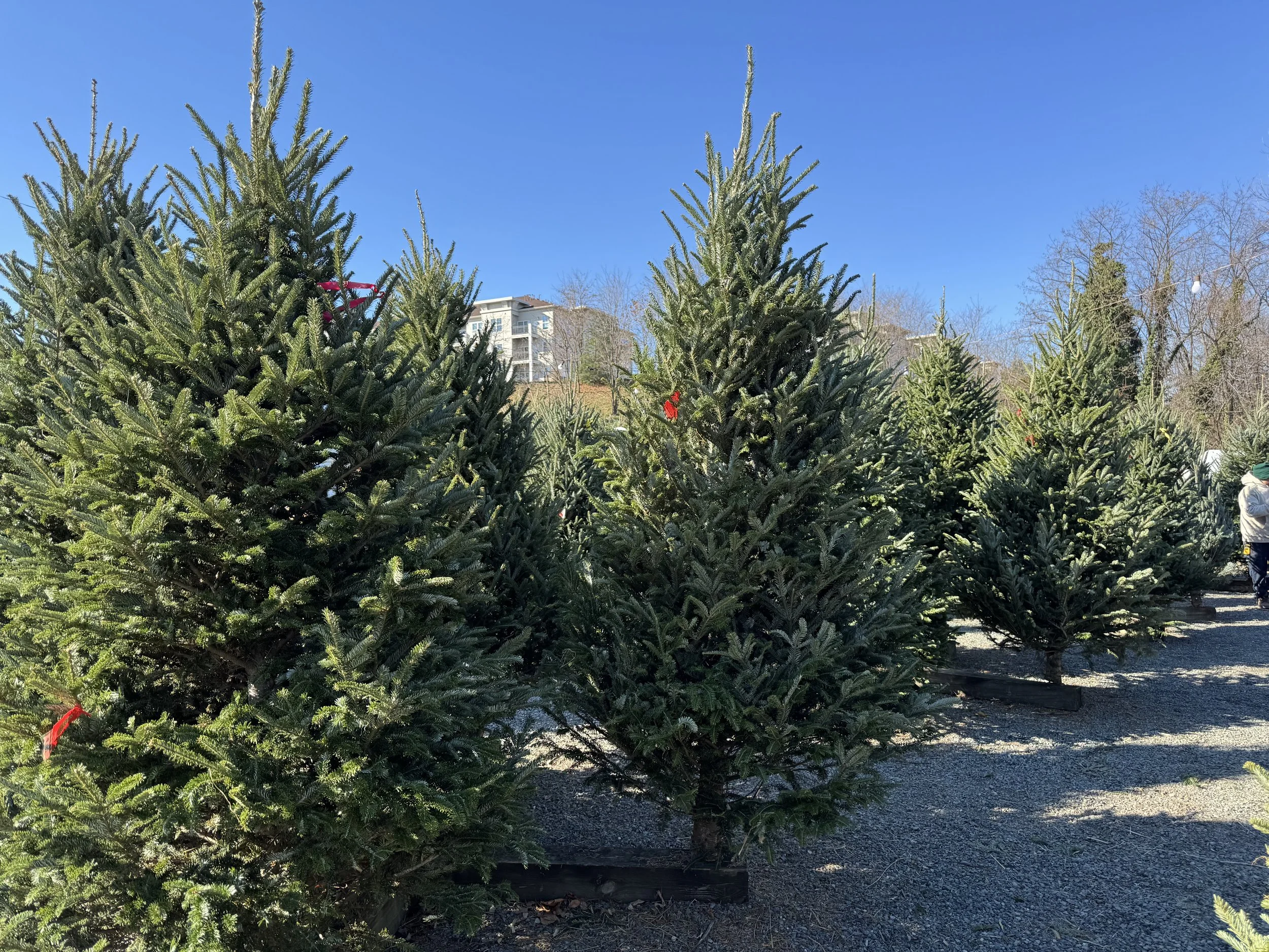 Seasonal — Franks Produce & Greenhouses