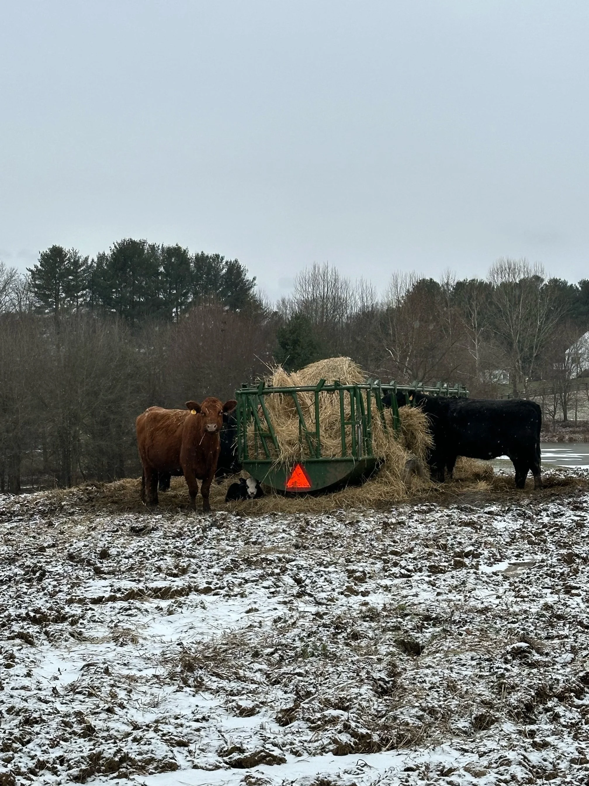 Our Farms — Franks Produce & Greenhouses
