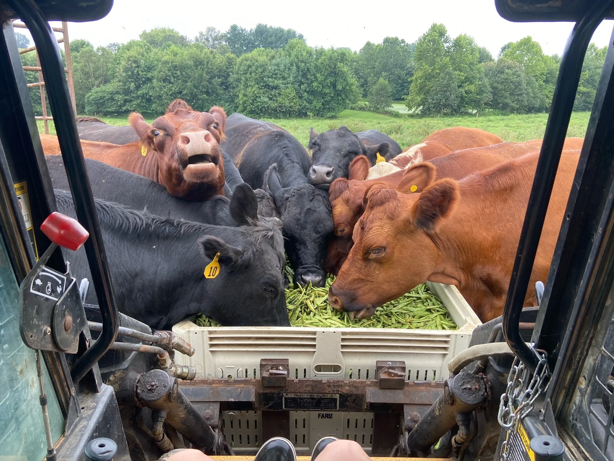 Our Farms — Franks Produce & Greenhouses