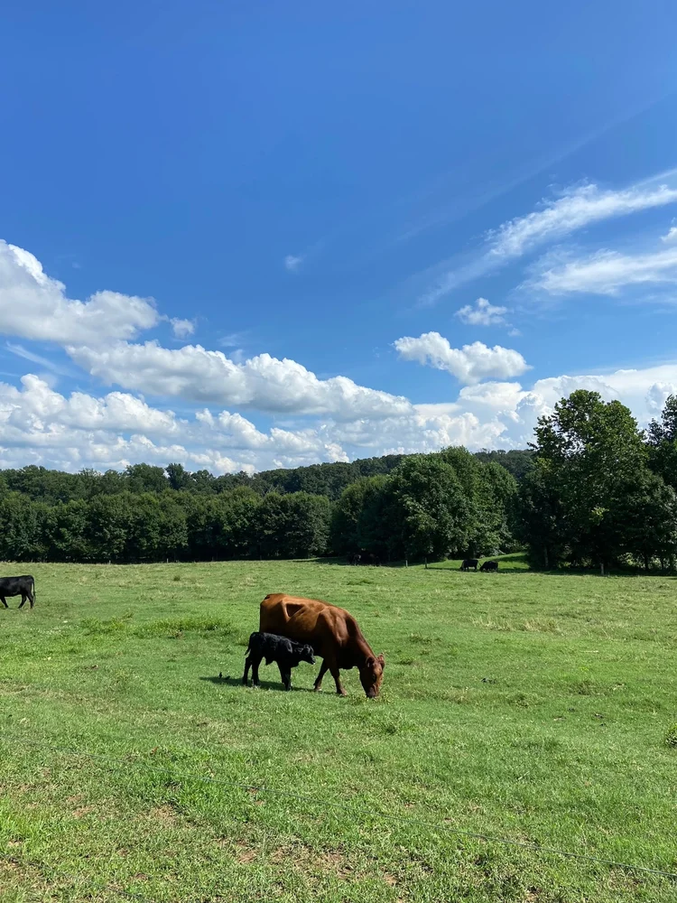 Our Farms — Franks Produce & Greenhouses