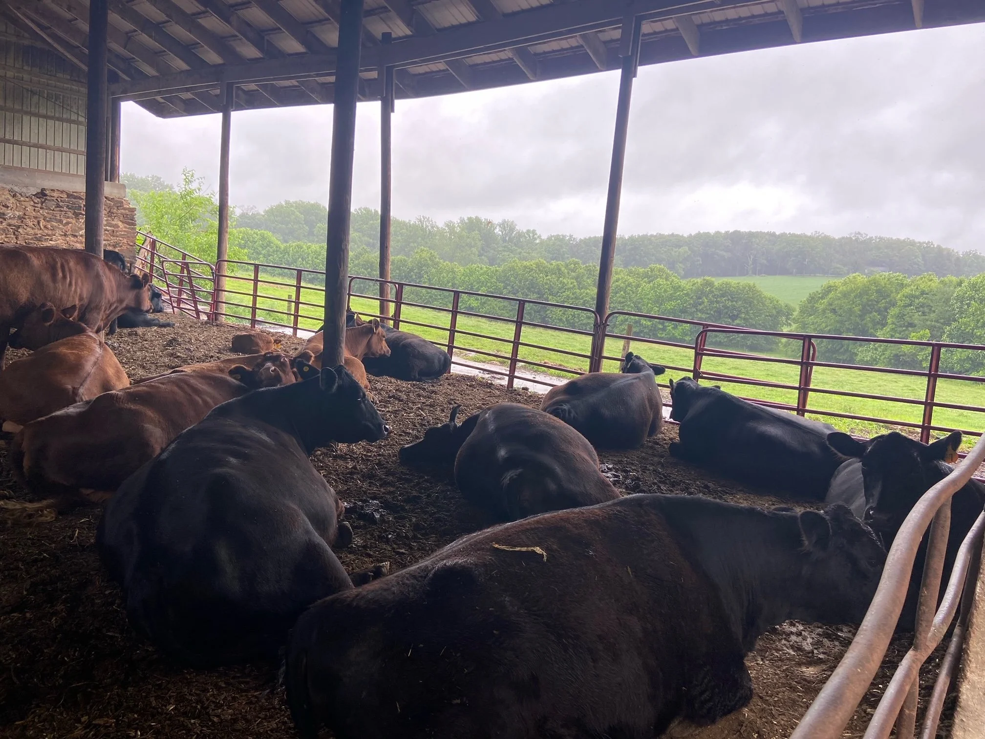 Our Farms — Franks Produce & Greenhouses