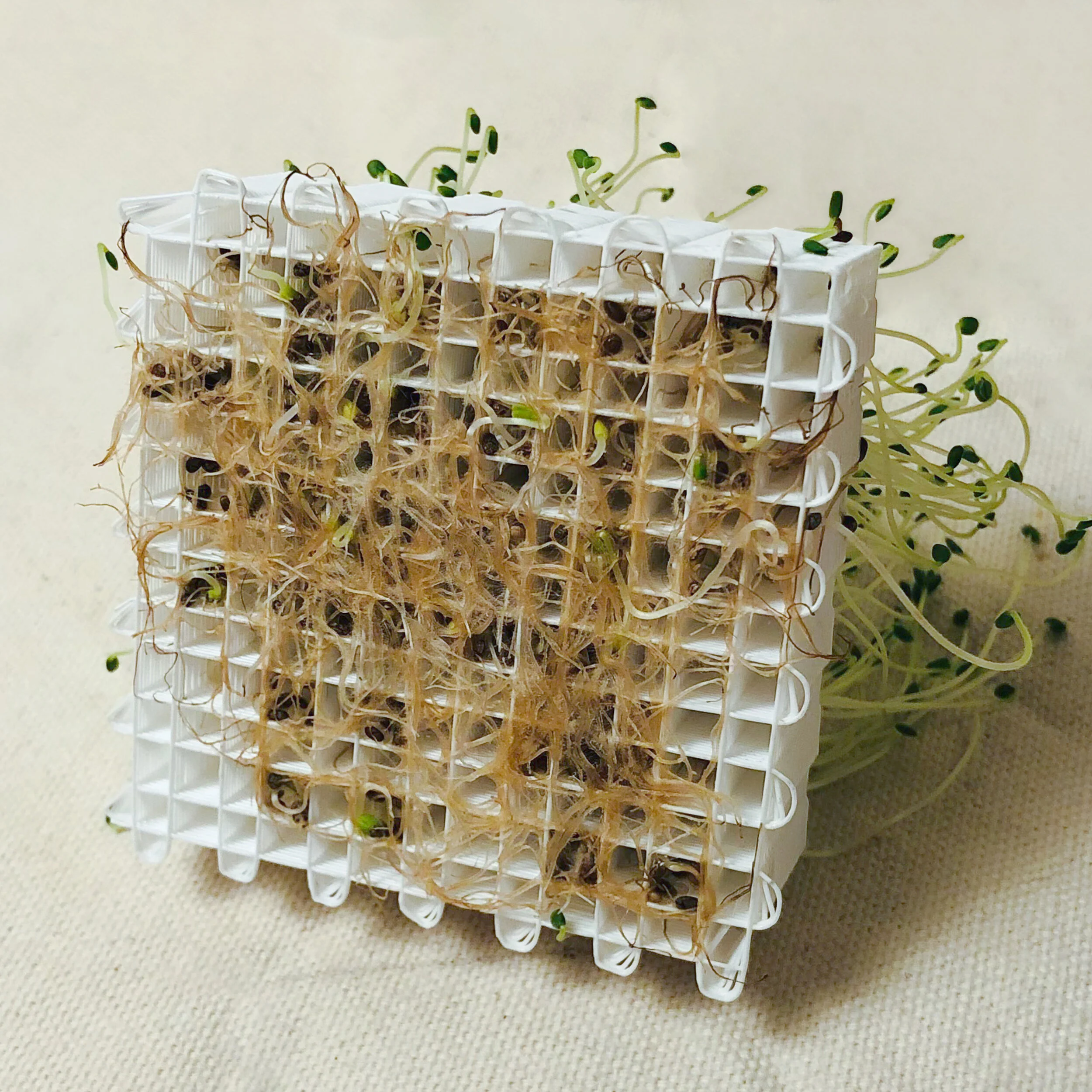Fo16 / Aero Aggregates — op.Architecture + Landscape PLLC