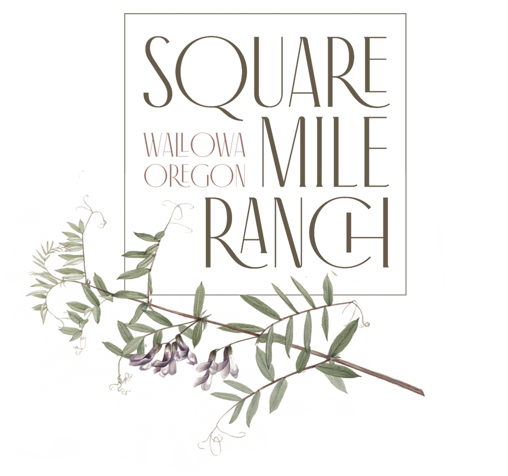 Square Mile Ranch