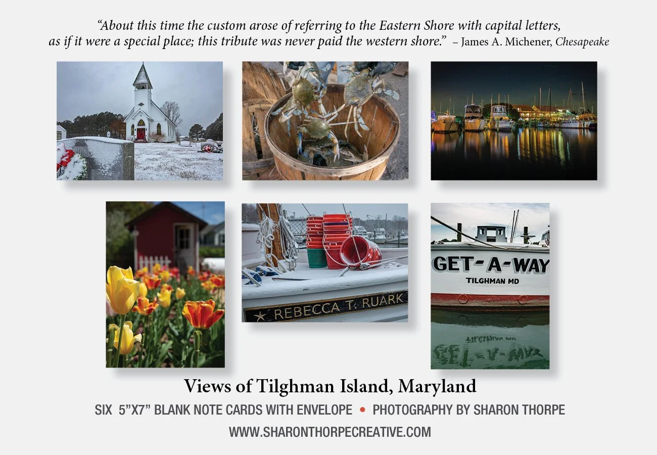 Eastern Shore Card Sets — Sharon Thorpe Creative
