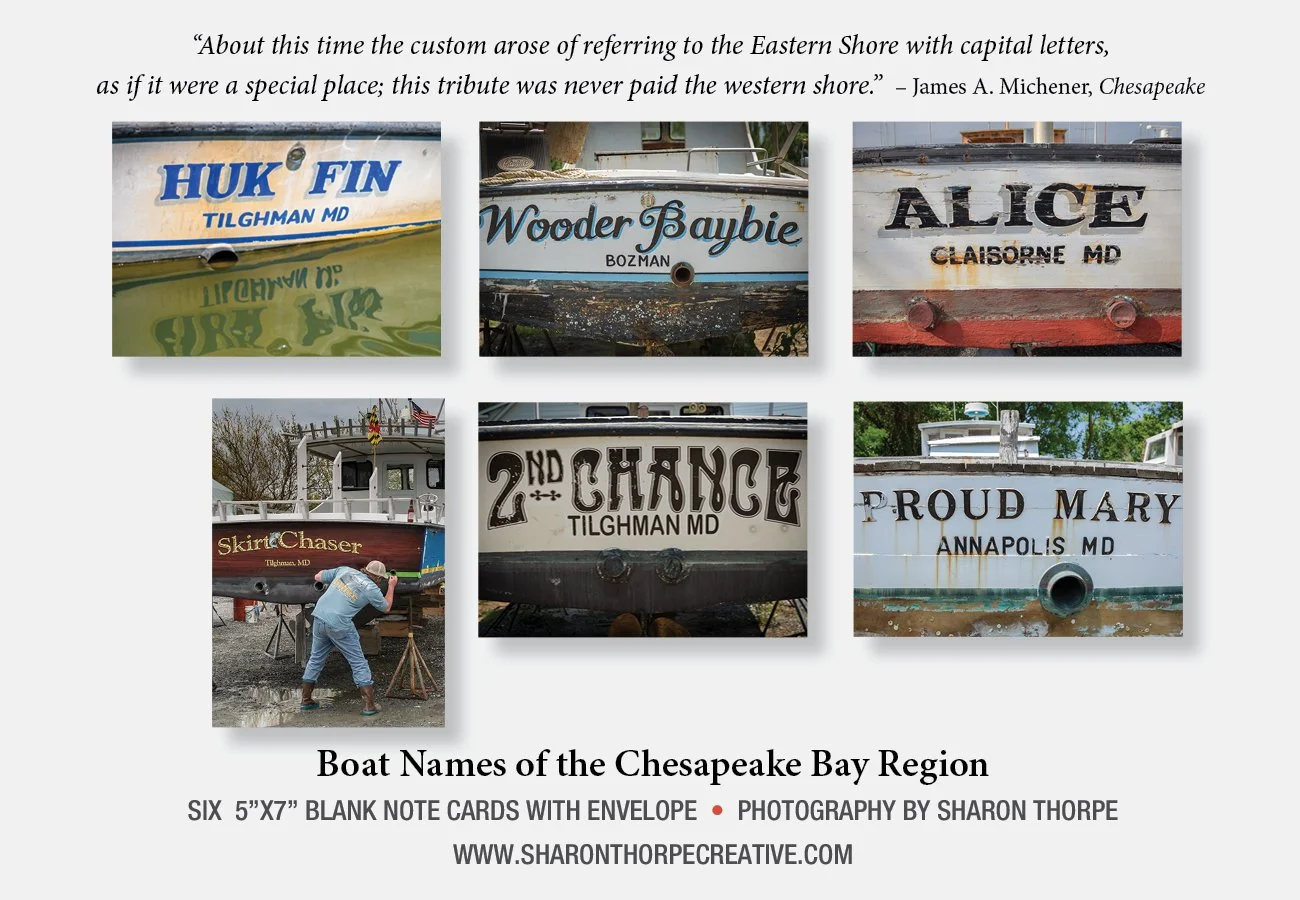 Eastern Shore Card Sets — Sharon Thorpe Creative