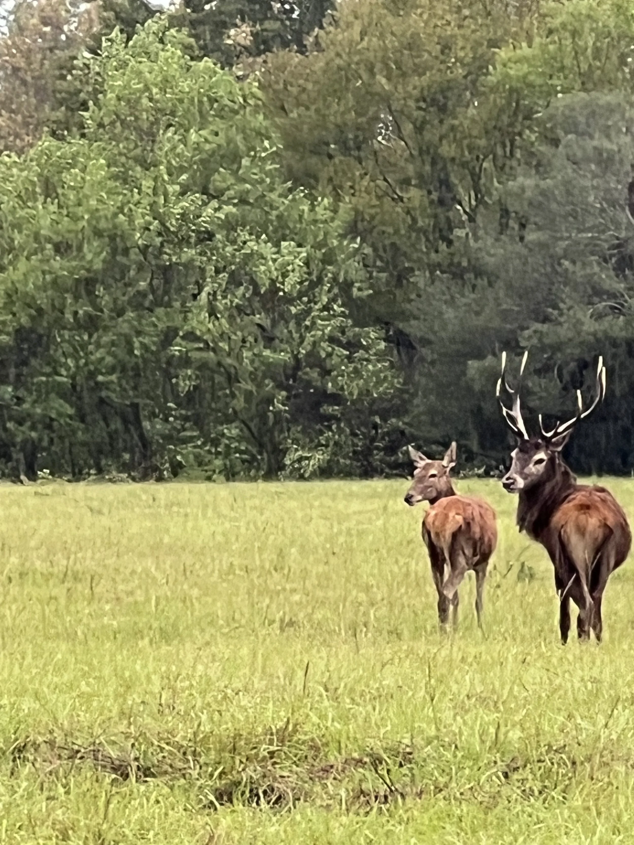 Pricing — North Shore Ranch