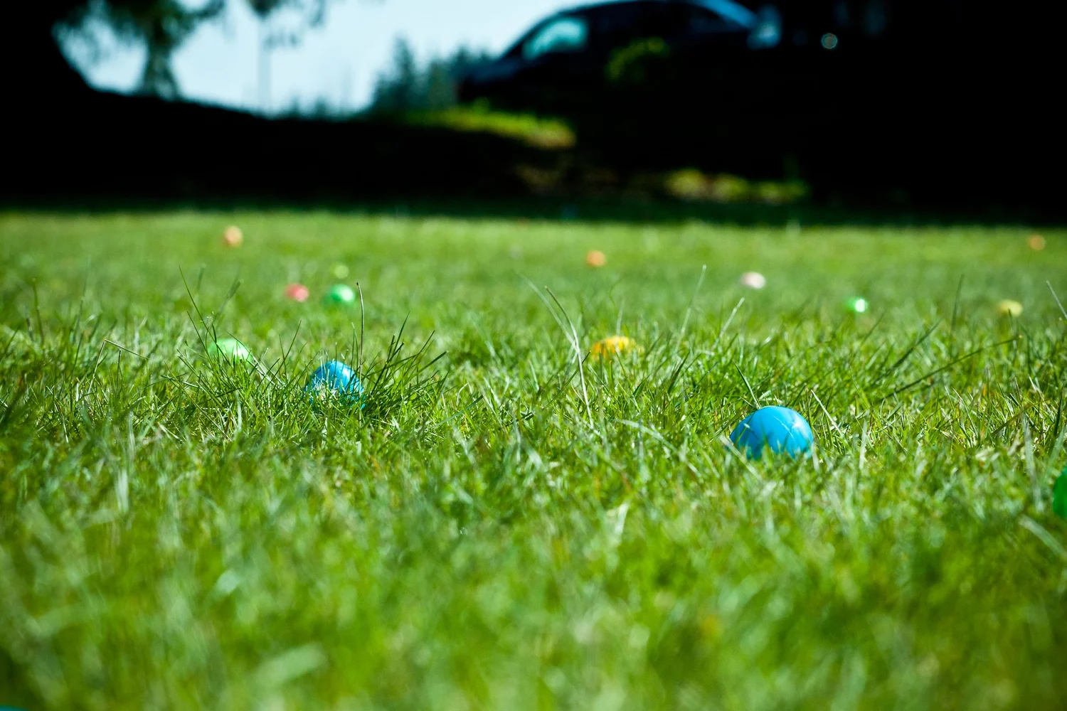 Trinity Chapel Easter Egg Hunt 2025 — MyTC