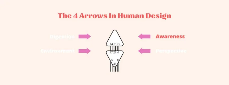 How to Interpret and Apply the Arrows in Human Design — HI*DEF