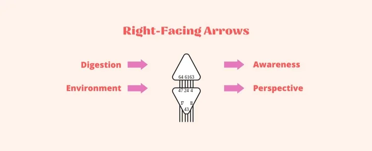 How to Interpret and Apply the Arrows in Human Design — HI*DEF