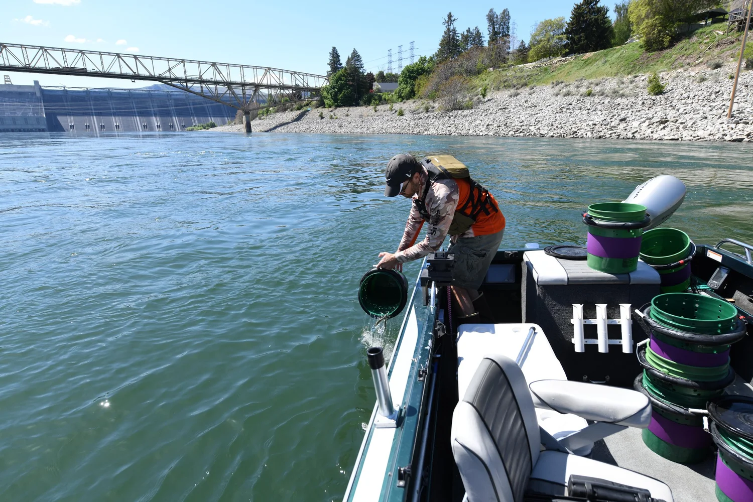 P2IP Salmon Reintroduction Programmatic EA: Welcome — www ...