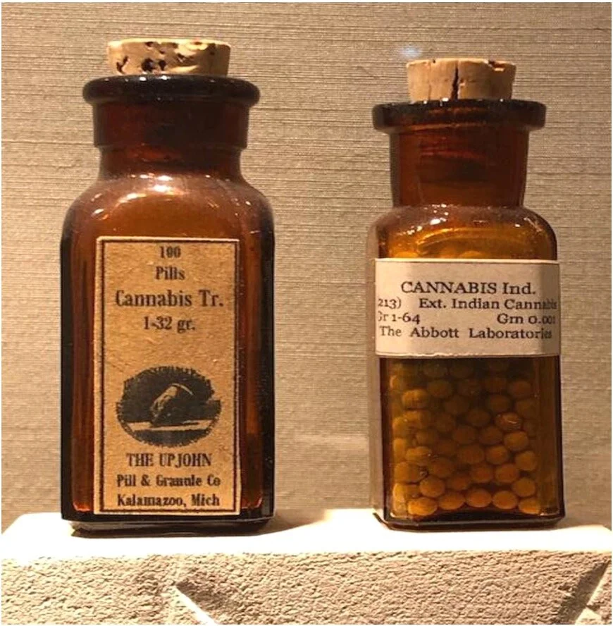 A Letter To The Church About Cannabis — P.L.A.N.T.S FOR LYFE