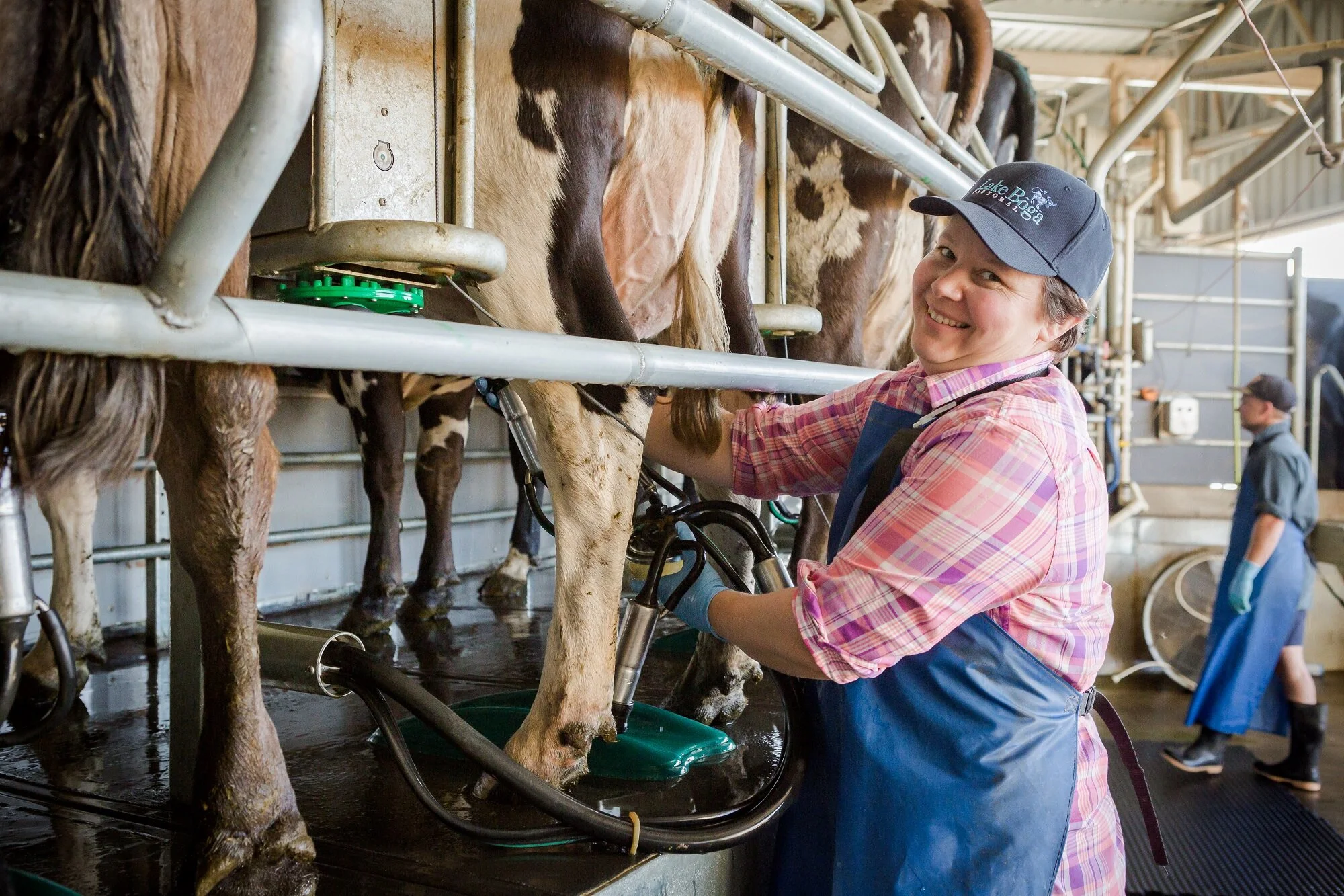 General 4 — Bethune Lane Dairy