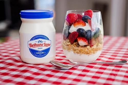 Hand crafted natural pot set yoghurt — Bethune Lane Dairy