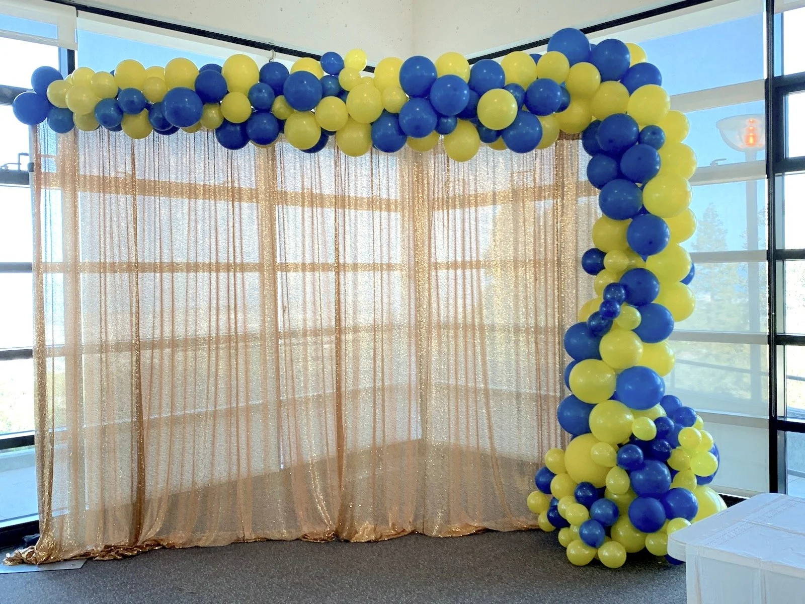 Breathtaking Balloon Arch and Backdrop Services in Hayward | Party Time ...
