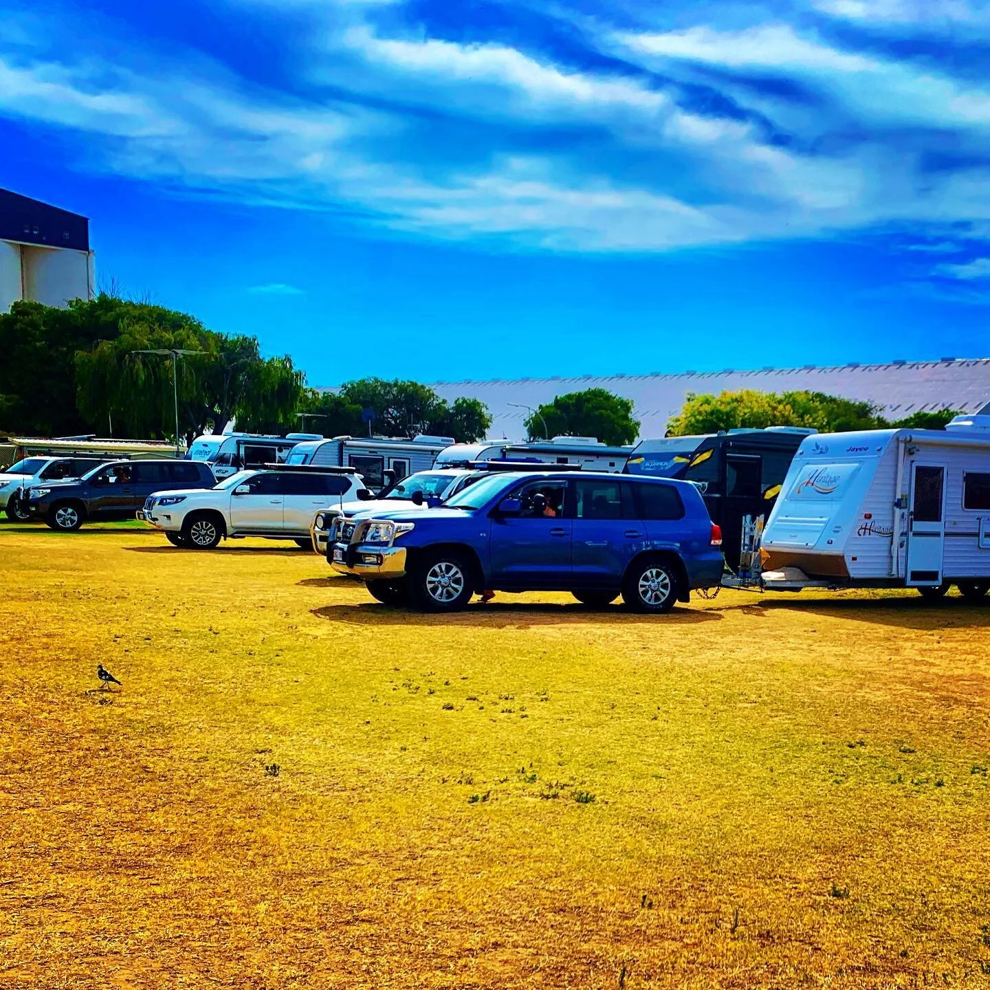 Cee & See Caravan Park — your Rockingham family holiday base