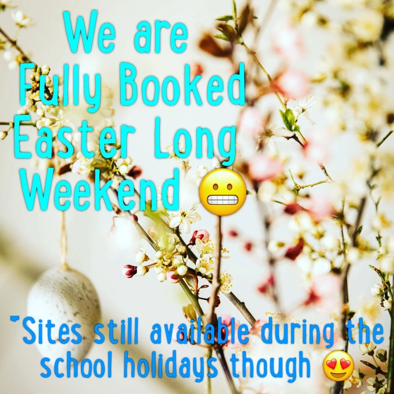 Cee & See Caravan Park — your Rockingham family holiday base